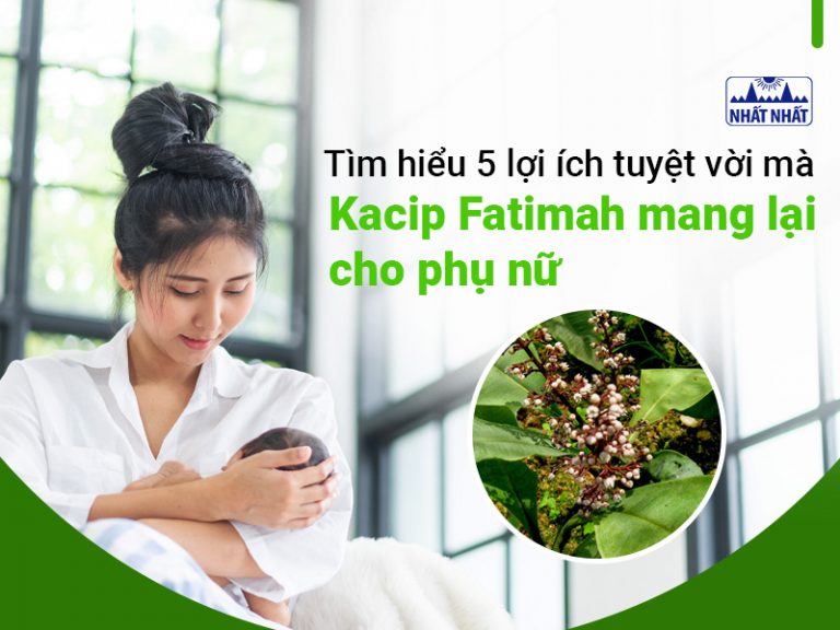 Tìm hiểu 5 lợi ích tuyệt vời mà Kacip Fatimah mang lại cho phụ nữ ...
